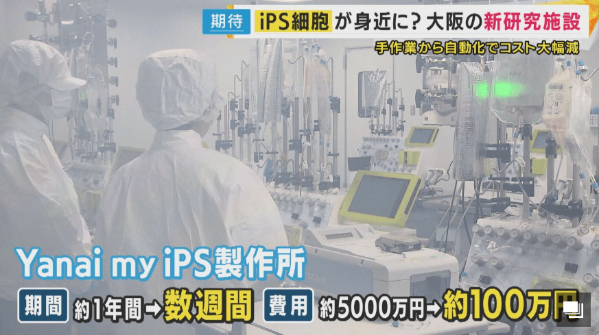 Yanai 我的 iPS：日本大胆尝试普及干细胞疗法 - Billion Stem Cells